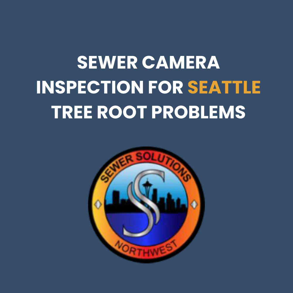 Sewer Camera Inspection for Seattle Tree Root Problems | Expert Diagnosis